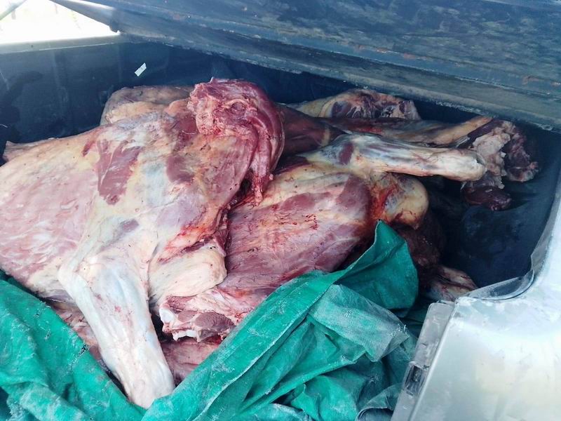 En dos procedimientos la UEAR secuestró 419 kilos de carne ...